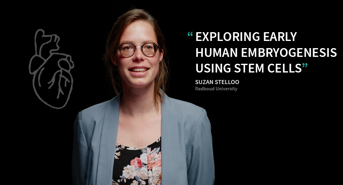 Suzan Stelloo - Exploring early human embryogenesis using stem cells ...